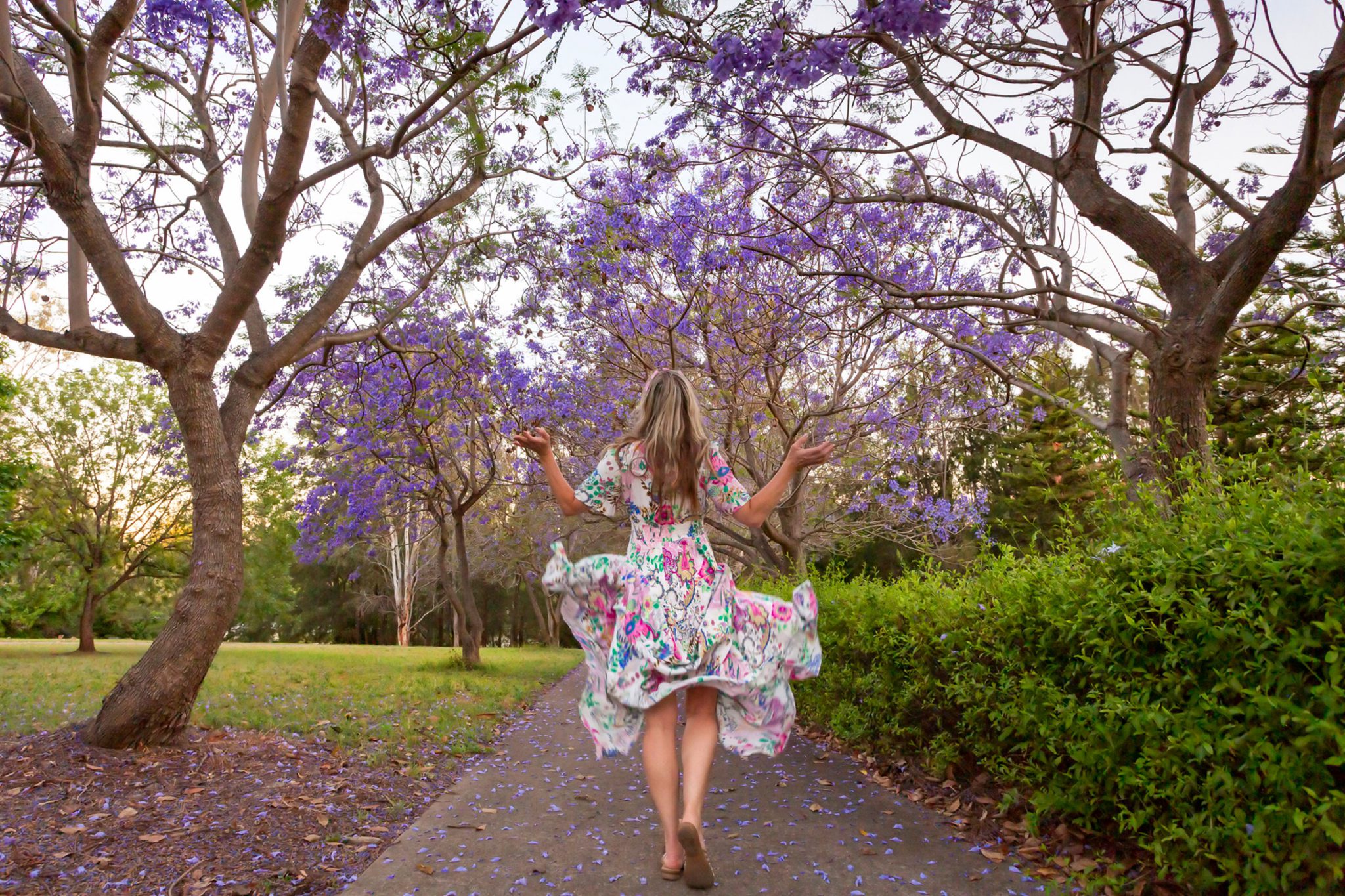 Step into Spring - ACA