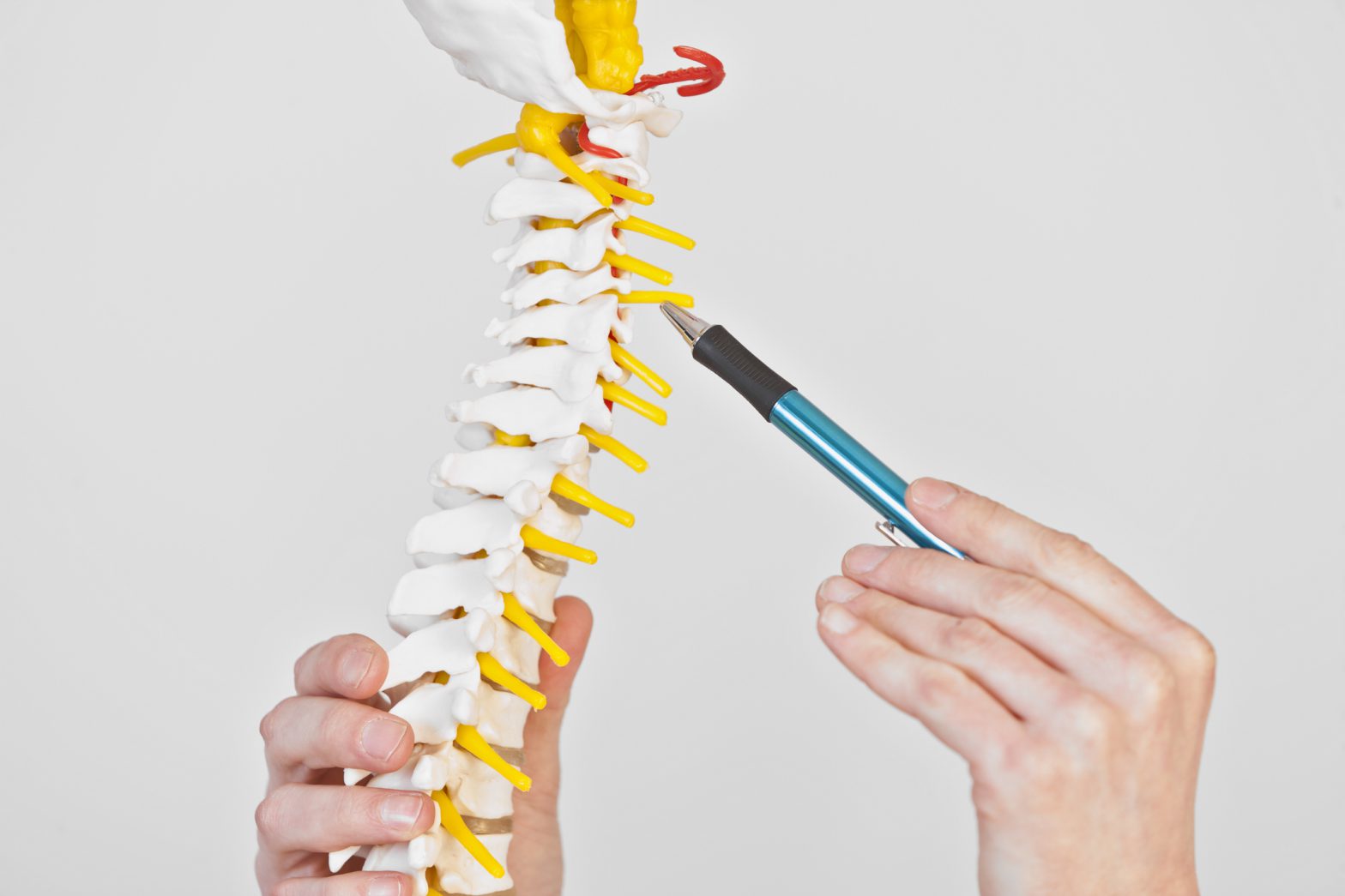 Building the Evidence Base - ACA